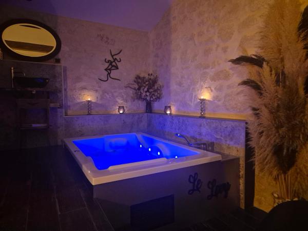 Le Lovy , Studio Indépendant Avec Jacuzzi - Département Gironde