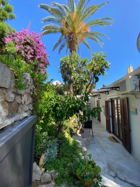 Apartments Veli Lošinj - Veli Lošinj