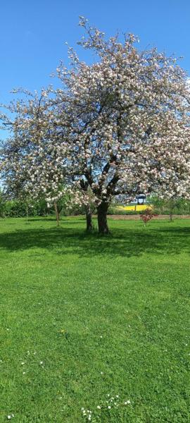 Aux Trois Petites Notes - Ardennes