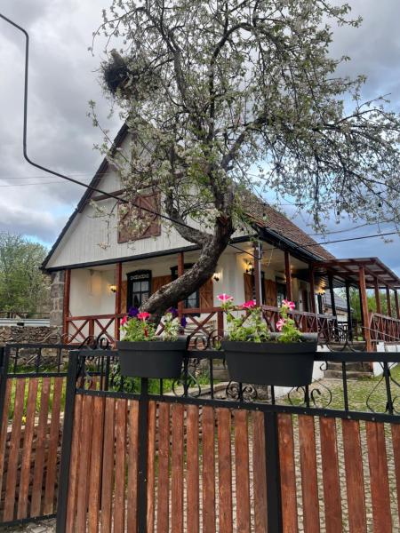 Hnameni Bovadzor Lodge - Armenia