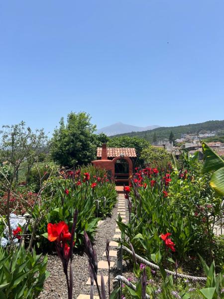 Casa Terrera "El Granero" - Garachico