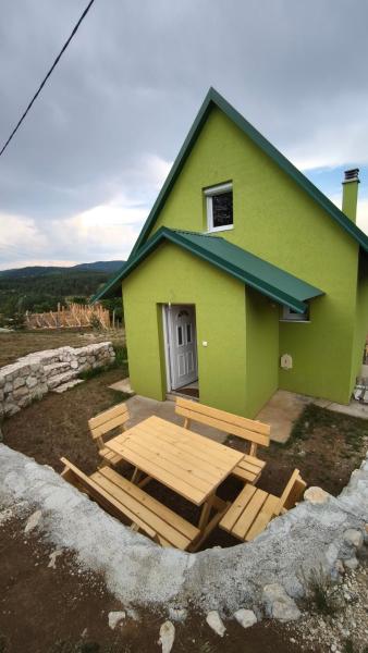 Pine - Montenegro