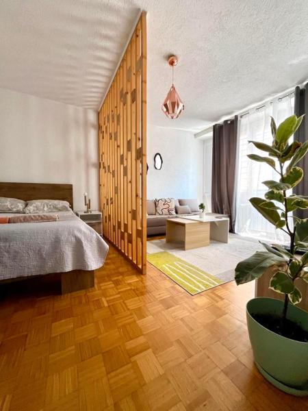Apartment Studio 30 - Sarajevo