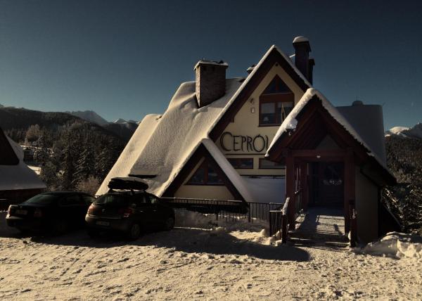 Kominkowy - Zakopane