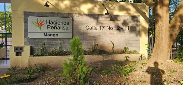 Hacienda Peñalisa Mango - Girardot