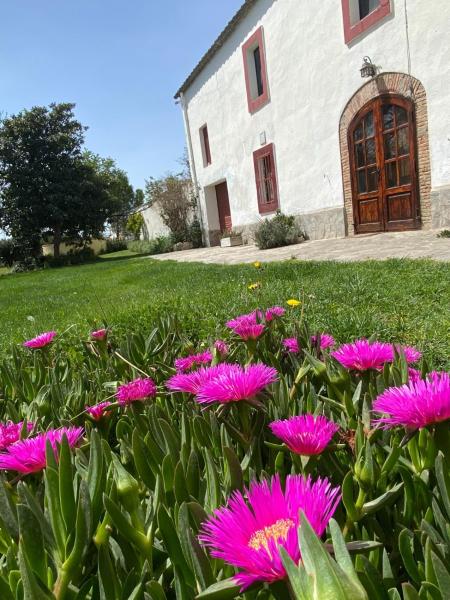 Can Teulera - Vilafranca del Penedès