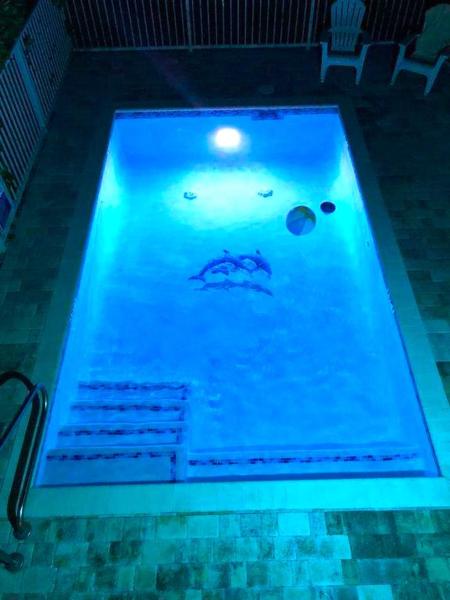 #5beautiful 4 Bed 3 Bath Pool Home W Free Dock - Florida Keys