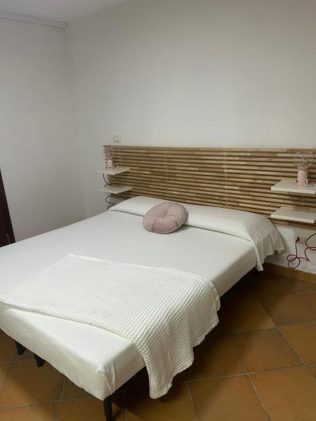 Cavalluccio Marino - Porto Recanati