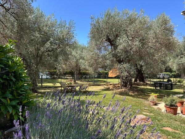 La Laguna Boutique Apartments - Montenegro