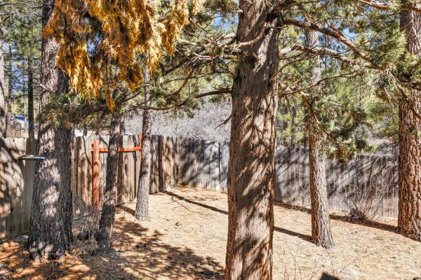 Rustic Retreat #2419 - Big Bear Lake, CA