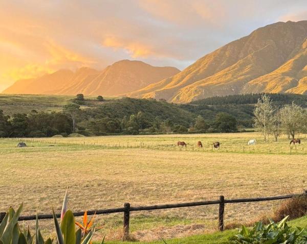 Arumvale Country Retreat - South Africa