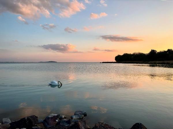 Rév-fülöp Panzió - Balatonlelle