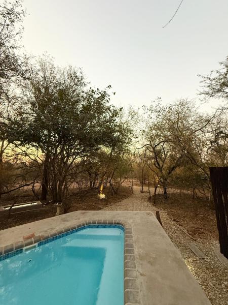 Veni Vidi Amavi Luxury Safari Treehouse Modern Luxe With Private Pool Deck No Neighbours Fence Facing - Marloth Park
