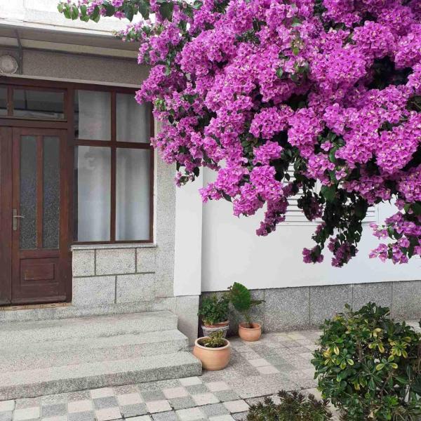 Apartments With Parking Space Rab - 24792 - Rab