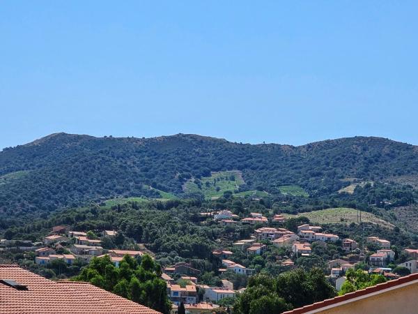 Banyuls-sur-mer : Appart. 6 Pers. Avec Grande Terrasse Et Garage - Fr-1-309-527 - Banyuls-sur-Mer