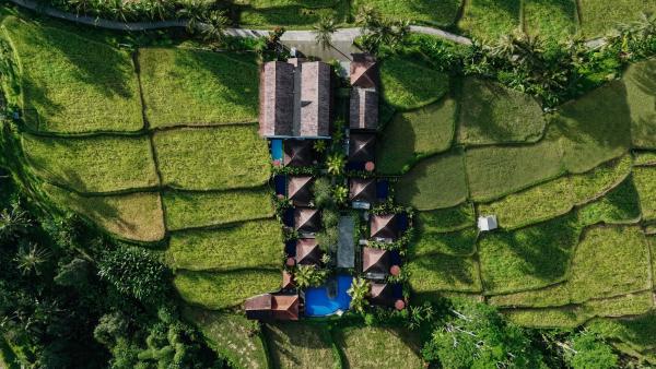 Tanta Escape Ubud Yoga & Healing - Sidemen