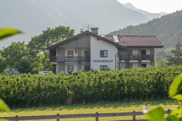 Peintnerhof Appartments & Zimmer - Luson