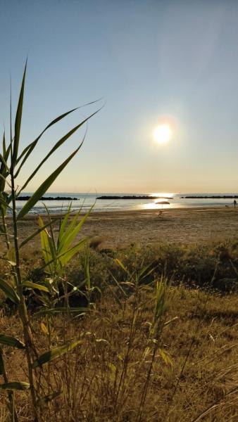 Sake' Beach - Senigallia
