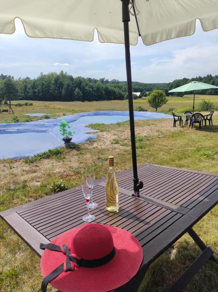 Stadnina Koni Tarka - Poland