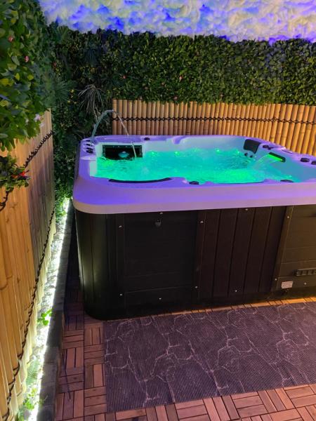 Appartement Avec Jaccuzi & Jardin - Castres