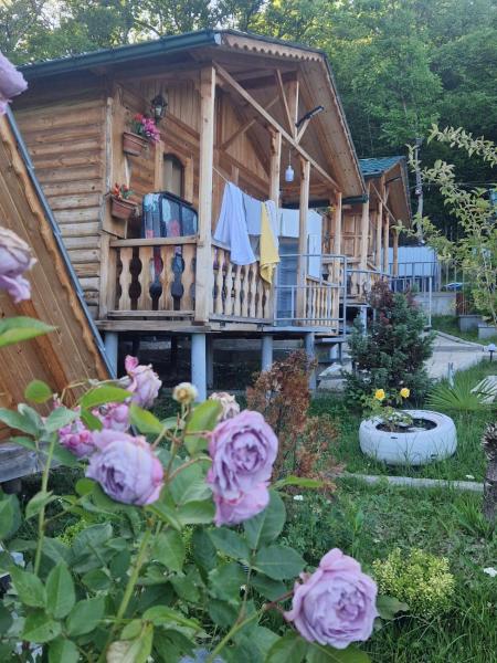 Eco Cottages - 조지아