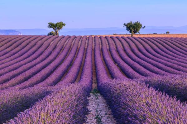 Cocon Authentique De Roussillon - Luberon