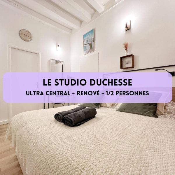 Le Studio Duchesse - Nantes