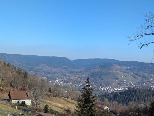 Gîte Authentique à La Montagne Pour 10 Pers. Avec Spa - Fr-1-589-830 - Remiremont