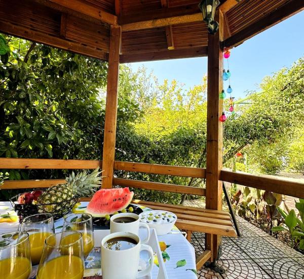 Mediterranean Resort With Garden, 500m From The Sea - Chalkidiki