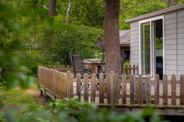 Tiny Cabin In Bosrijke Omgeving De Veluwe - Met Terras, Tuin En Fietsschuurtje - Nunspeet