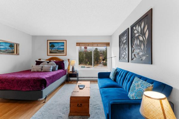 Blazing Saddles 102 By Summit County Mountain Retreats - Breckenridge, CO