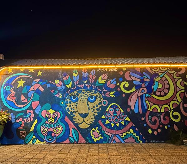 Zizi Home Vibes - Mato Grosso (estado)