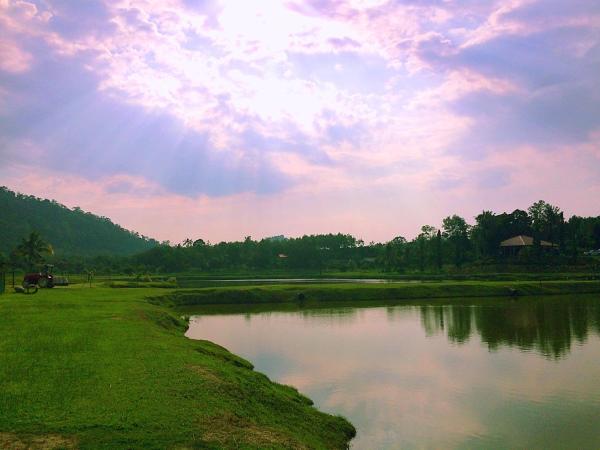 Kampung Bongsu Farm Stay - Pahang