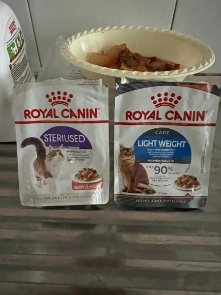 וילה גפן בעומר - Izrael