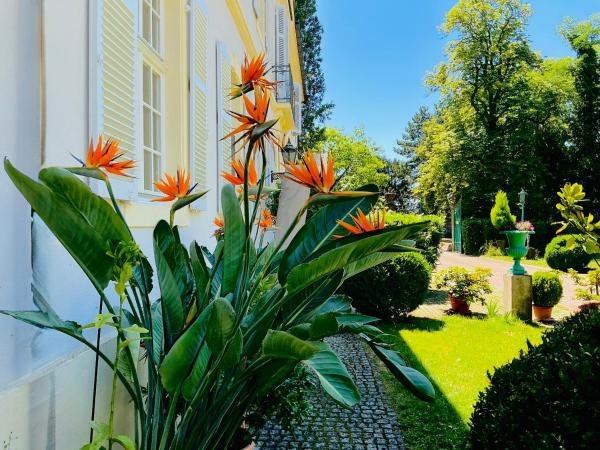 Villa Schloss Rimsingen Fine Apartments - Breisach am Rhein