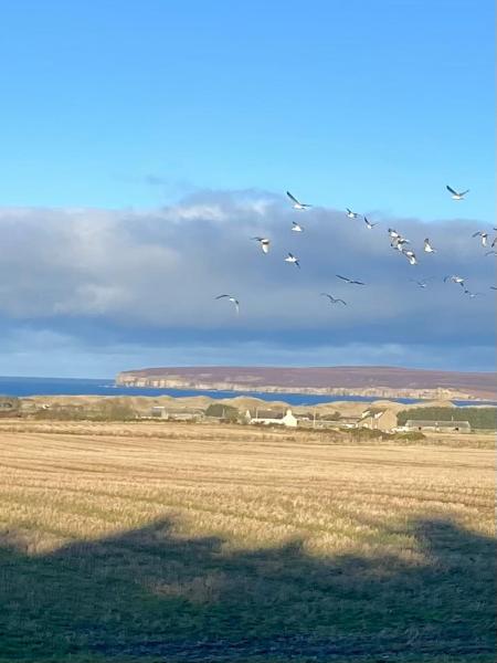 Pinelodge - The Castle & Gardens of Mey