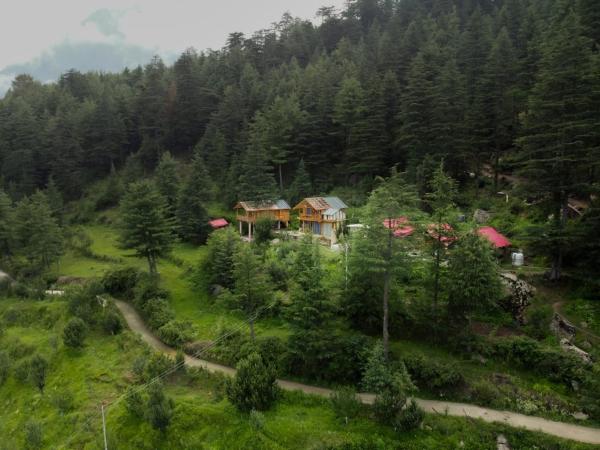 Himalayan Cedar Nest - Lahaul And Spiti