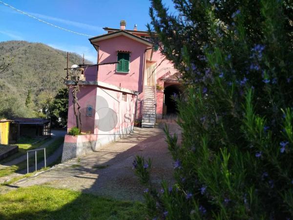 Regina Margherita Affittacamere - Sarzana