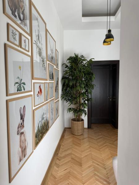 Nature-inspired Stay In Piata Sfatului Brasov - Brașov