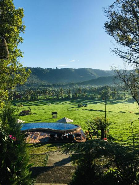 Mayura Bali Villa - Munduk