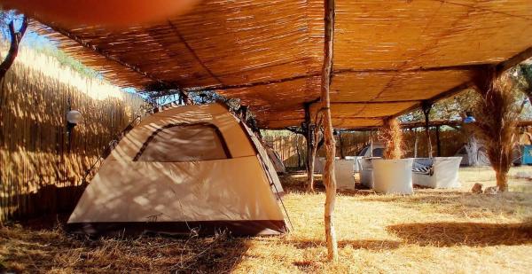 Olive Qeparo Fushe Camping - Albanie