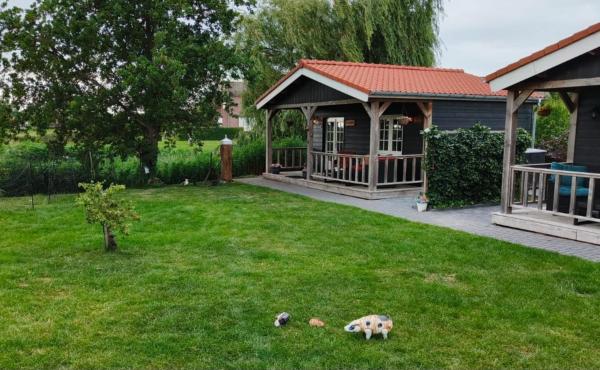 Het Baken Van Tholen - Zierikzee