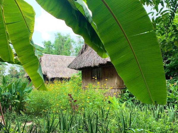 Saigon Garden Homestay - Hô Chi Minh-Ville