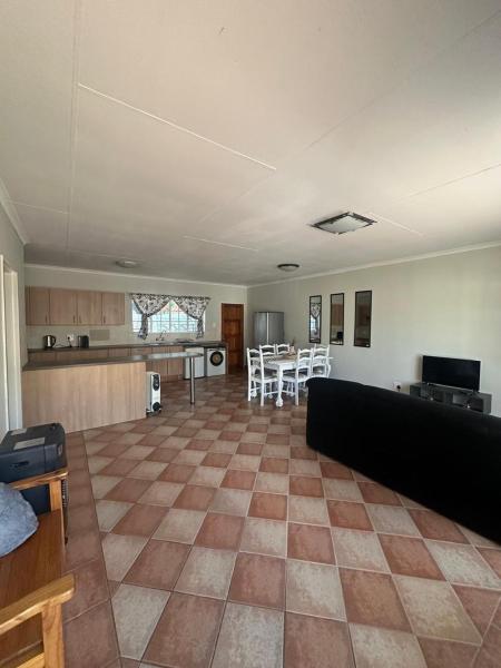Klaverton Daisy - Benoni