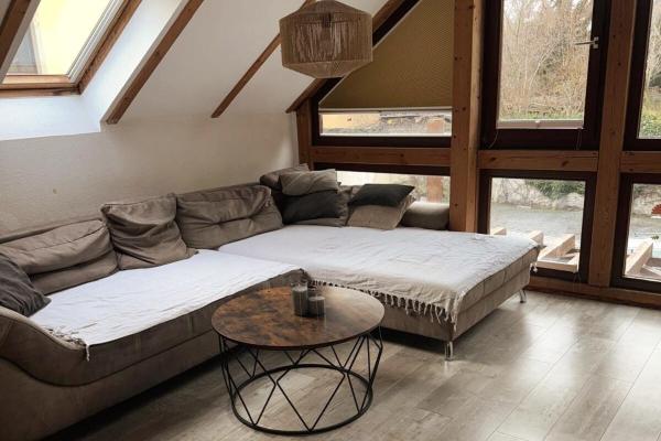 Hinterhaus Im Elbhang In Dresden Zw Loschwitz Und Pillnitz Zur Sächsische Schweiz - Dresden