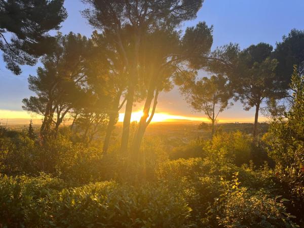 Maison De Style Californien Dans Les Pins à Villeneuve Les Avignon - Avignon