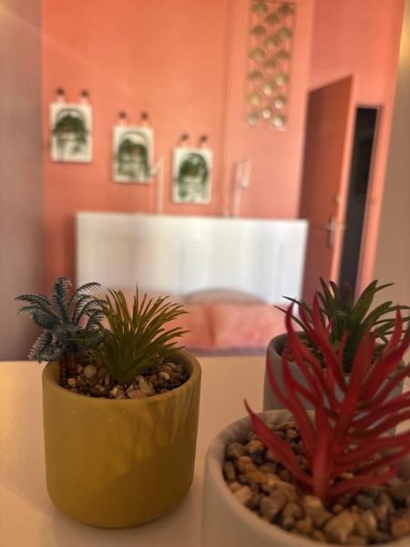 Appartement De L'îlot Des Chaudronniers - Vendres