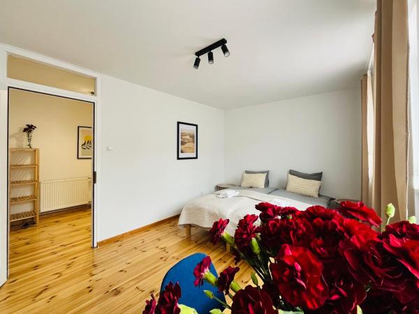 Przytulne Apartamenty W Centrum Lublina - Lublin