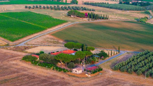 Agriturismo I Debbi - Cecina
