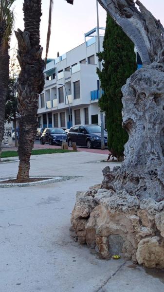 Apartament Dariusz Torrevieja - La Mata